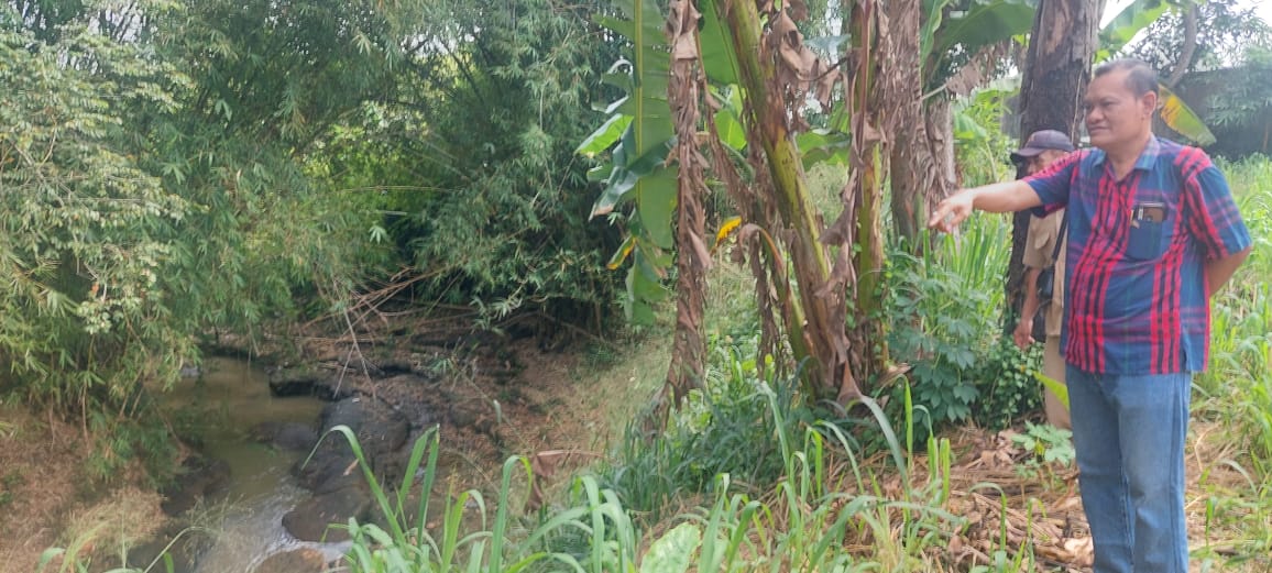 Butuh Bronjong! Puluhan Hektare Sawah di Pagerbarang Tegal Terancam ...